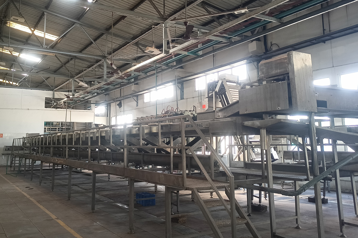 Processing – Punjab Agro
