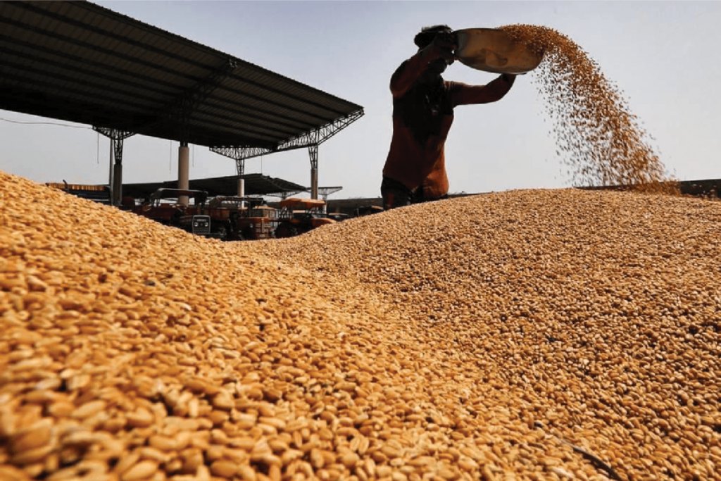 PAIC- Seed Production – Punjab Agro